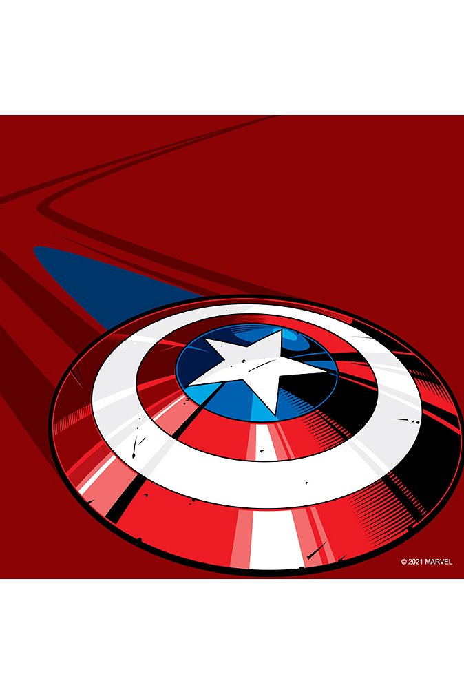 FLYING SHIELD | Venta de Cuadros Modernos | De La Paz