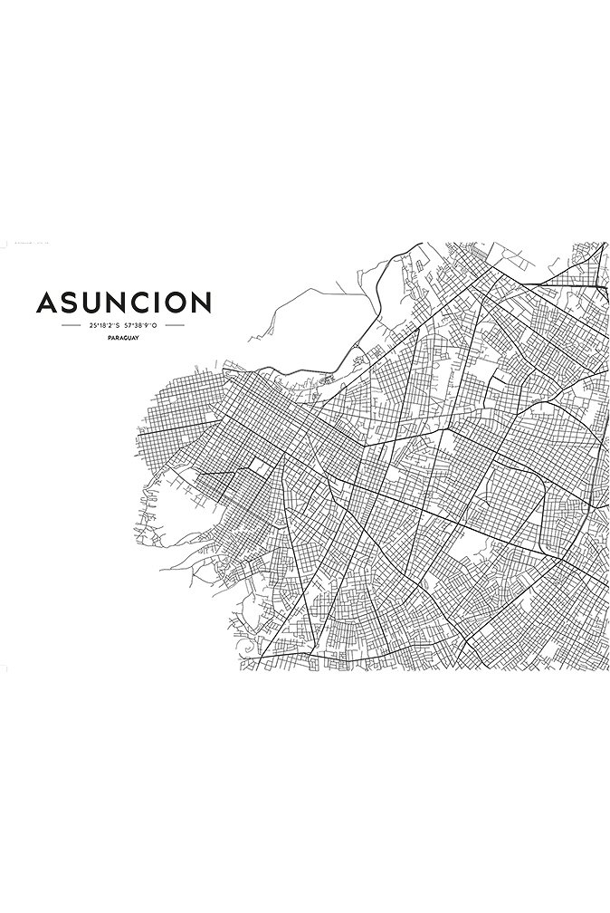 ASUNCIÓN MAP HORIZONTAL | Venta de Cuadros Modernos | De La Paz