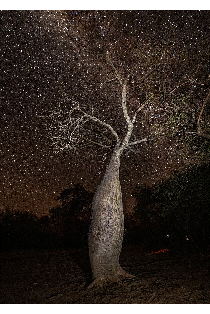 SAMU´ U ENTRE ESTRELLAS | Venta de Cuadros Modernos | De La Paz